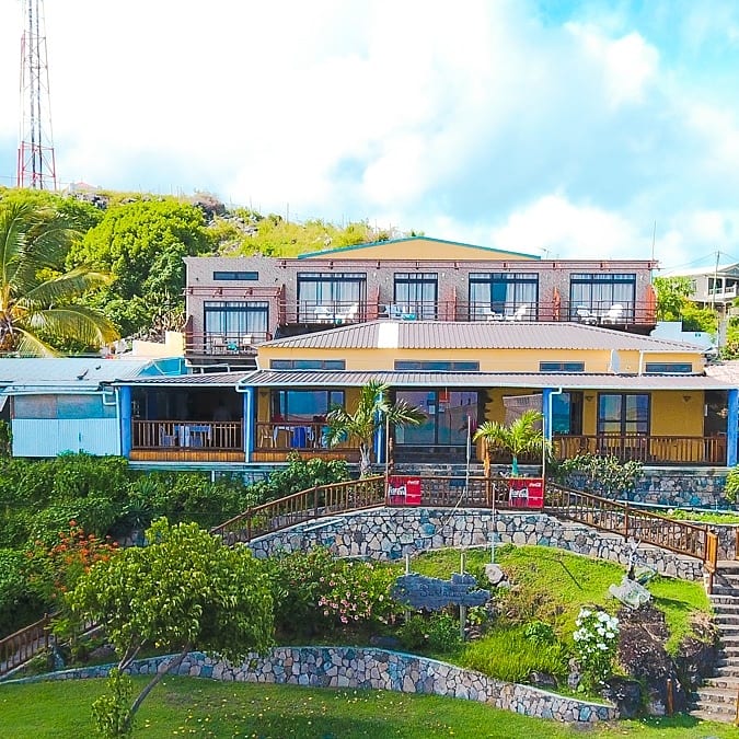 Le Pandanus En | Discovery Rodrigues